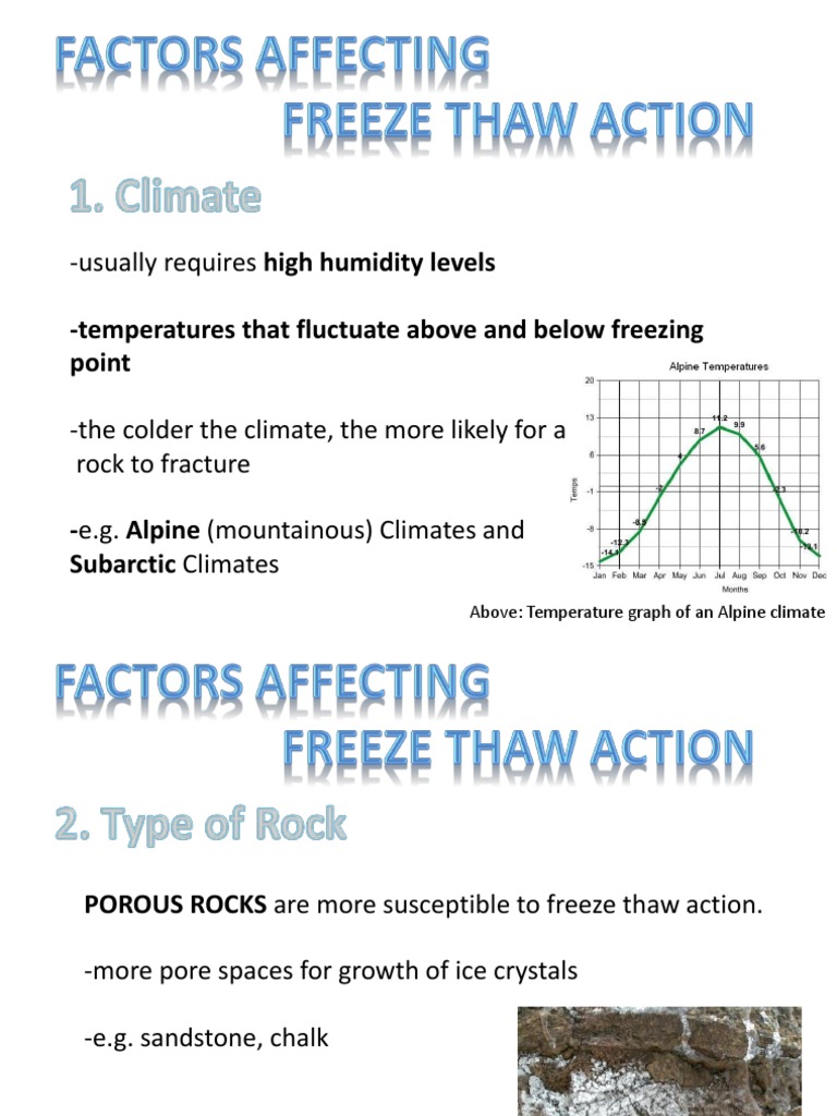 Usually Requires High Humidity Levels: - Temperatures That Fluctuate ...