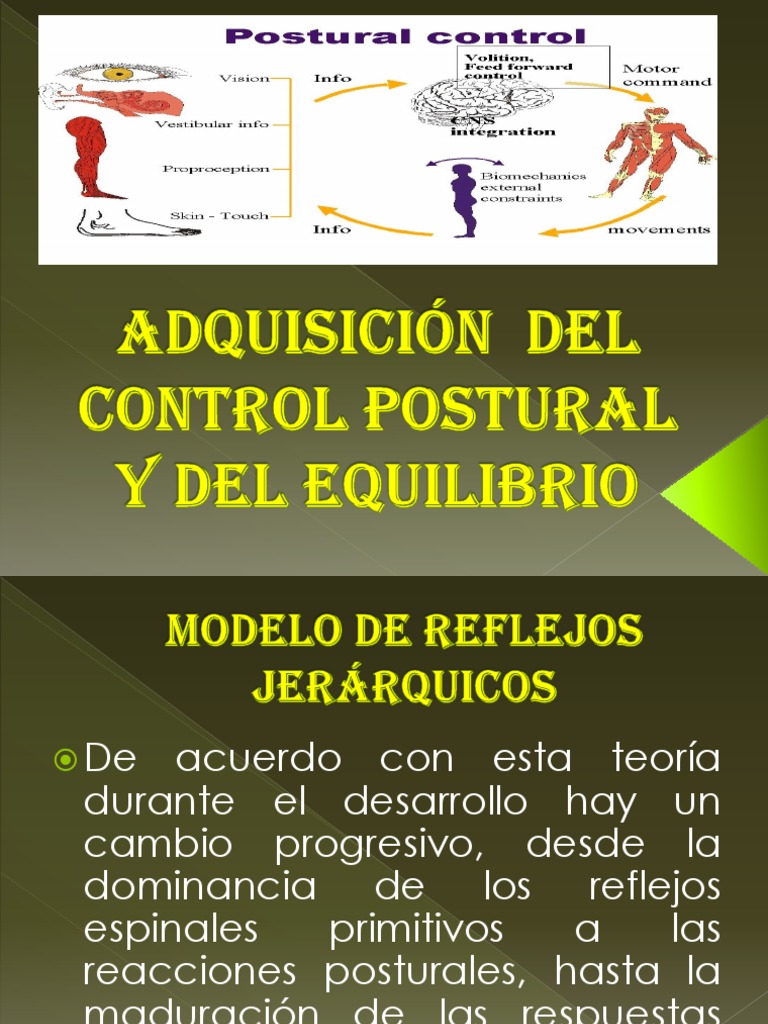 Adquisición Del Control Postural y Del Equilibrio | PDF | Vértigo | Tobillo