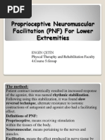 Patterns of PNF | PDF | Anatomical Terms Of Motion | Human Leg