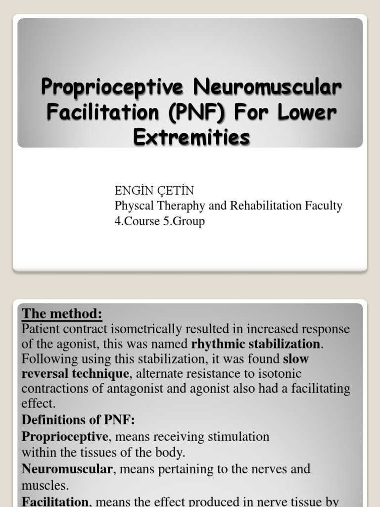 PNF Techniques for Lower Extremities | PDF | Anatomical Terms Of Motion ...