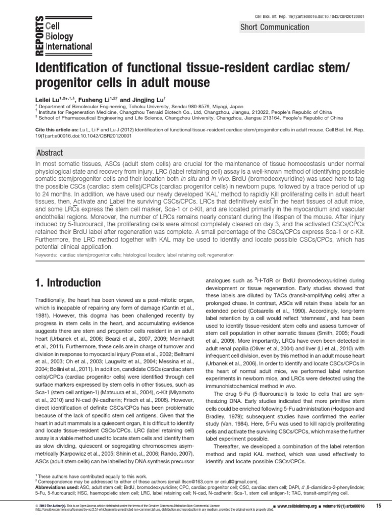 Identification of Functional Tissue-Resident Cardiac Stem/ Progenitor ...