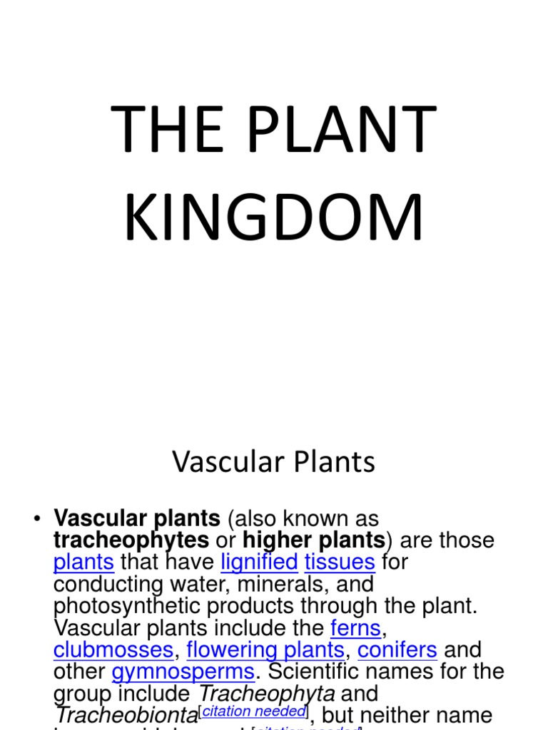 The Plant Kingdom | PDF | Moss | Plants