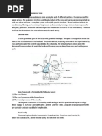 Anatomy and Function of Nasal Conchae | PDF | Human Nose | Rhinology
