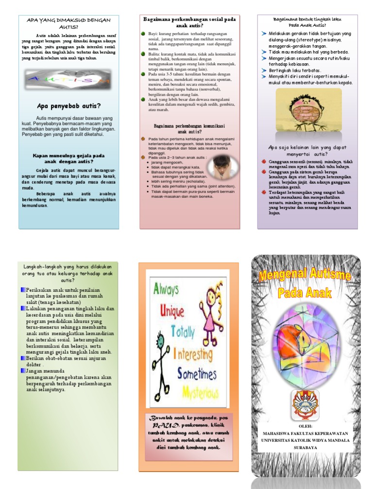 Leaflet Autis 2 | PDF