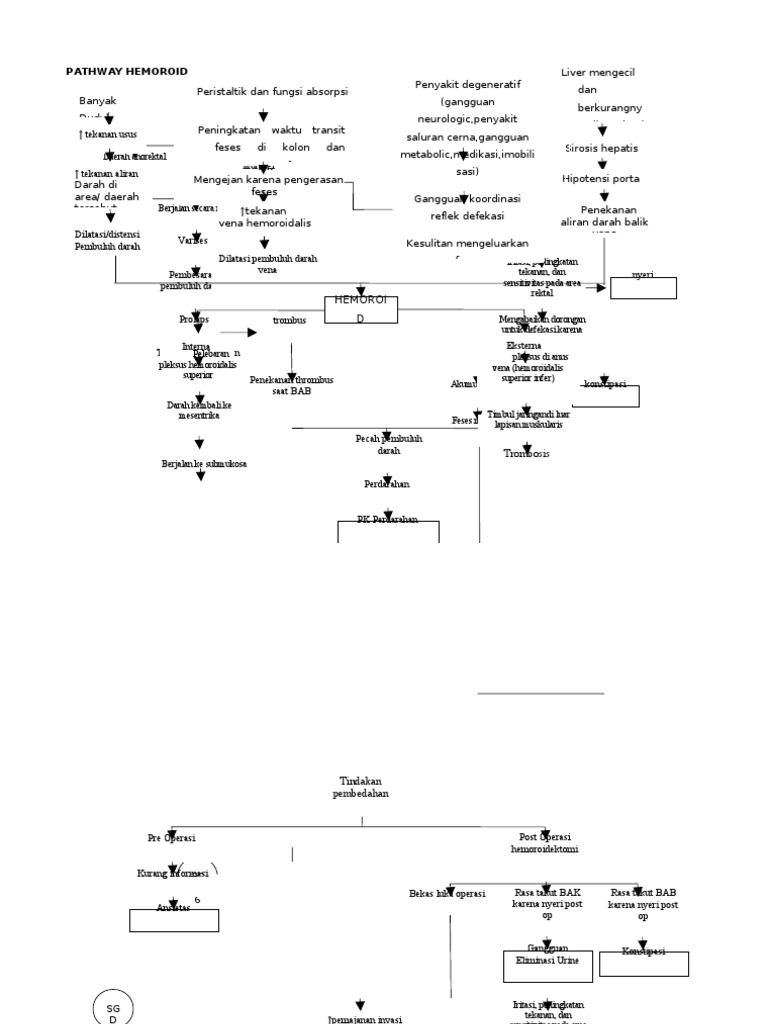 Pathway Hemoroid | PDF