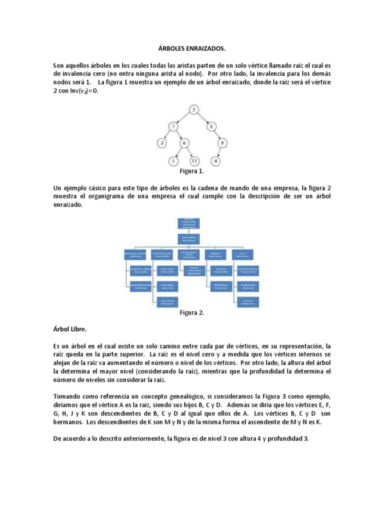 Árboles Enraizados | PDF | Enseñanza de matemática | Science
