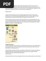 Modul P1 (PFD & P&id) | PDF