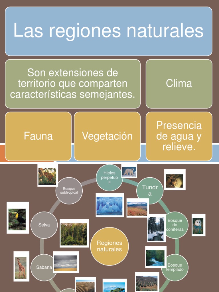 Características de las Regiones Naturales | PDF