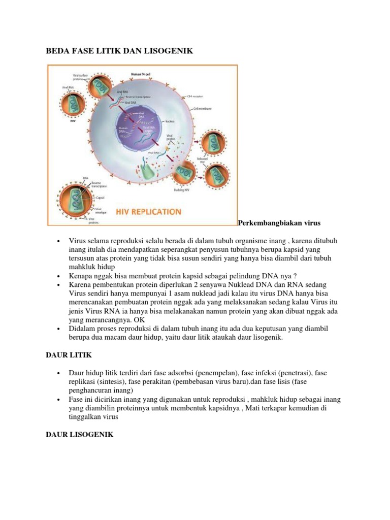 Beda Fase Litik Dan Lisogenik | PDF | Sains & Matematika