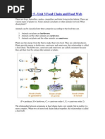 Year 6 Science DLP Textbook | PDF