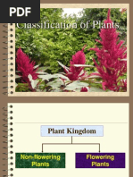 Grade 6 - Classification of Plants | PDF