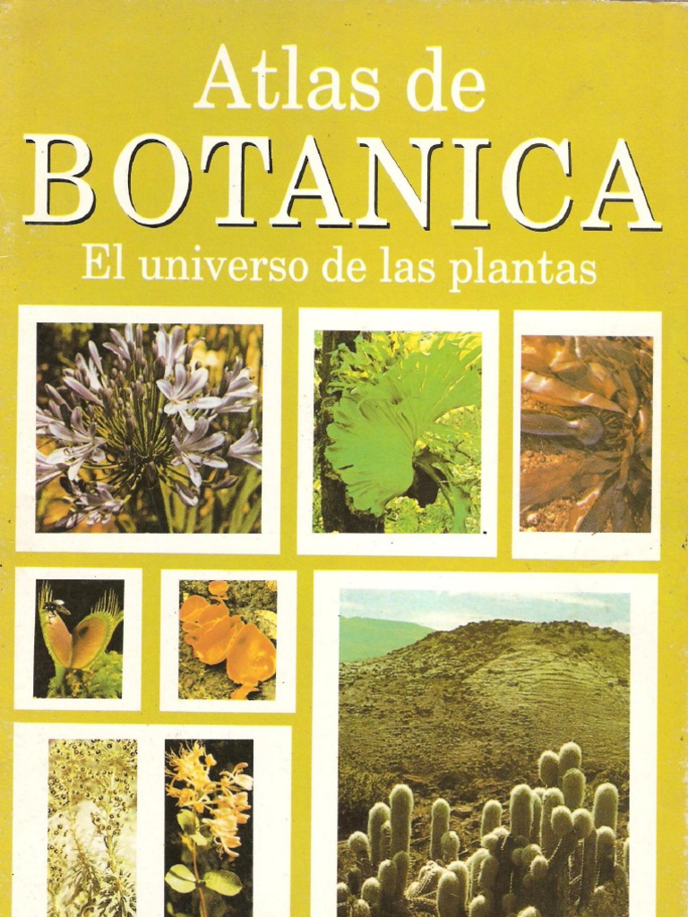 Atlas de Botanica | PDF