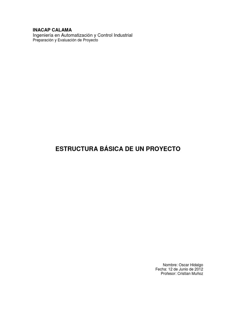 Estructura Básica de Un Proyecto | PDF | Mercado (economía) | Bienes