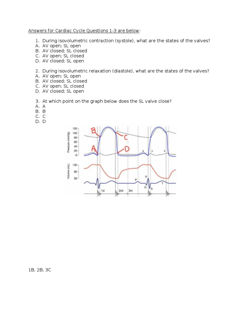 Cardiac Cycle Practice Questions | PDF