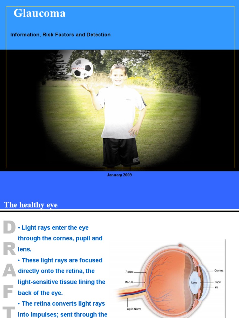 Understanding Glaucoma: Risks and Detection | PDF | Glaucoma | Human Eye