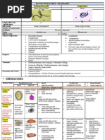 Vacutainer Order of Draw | PDF
