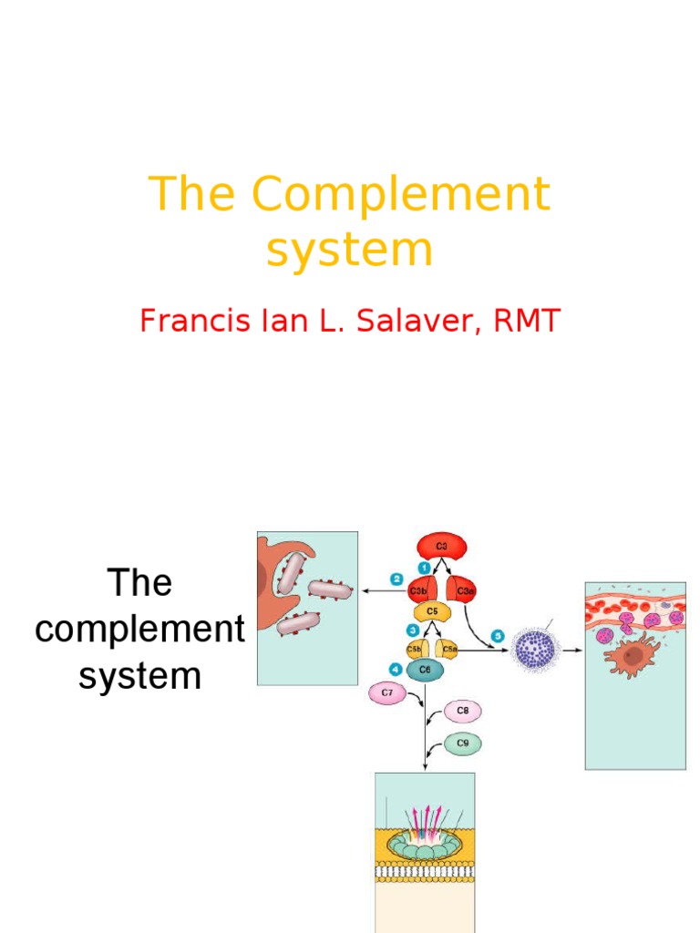 The Complement System | PDF | Complement System | Organ (Anatomy)