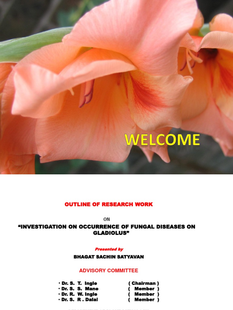 Presentation On Gladiolus Research | PDF | Fungicide | Fungus