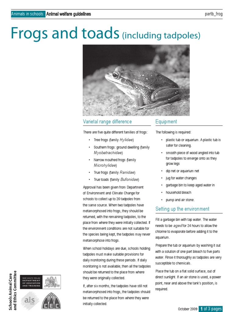Tadpoles in The Classroom NSW DEC | PDF | Frog | Aquarium