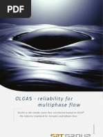 Olga Dynamic Multiphase Flow Simulator | PDF | Simulation | Fluid Dynamics