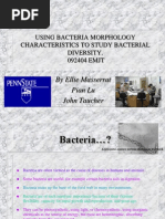 Full Lab Report 1 - Endospore Staining | PDF | Staining | Bacteria