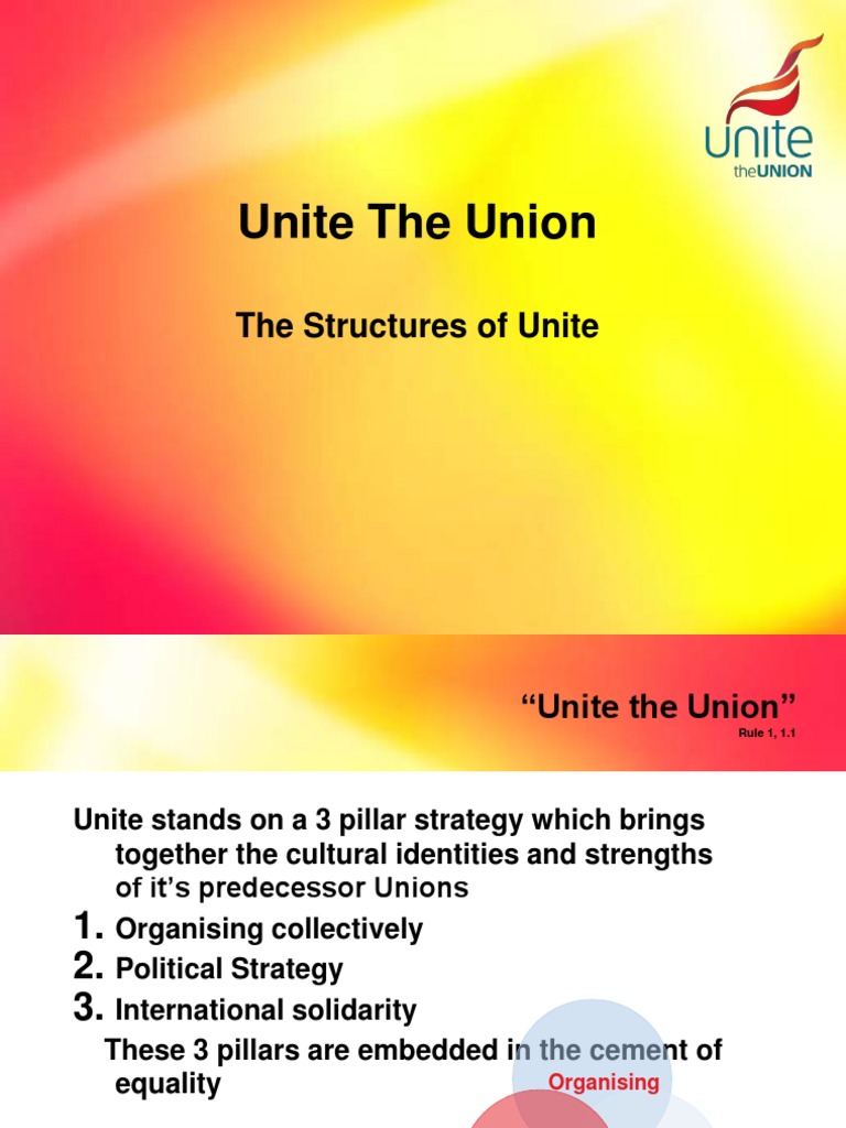 Structures of Unite | PDF | Trade Union | Labour