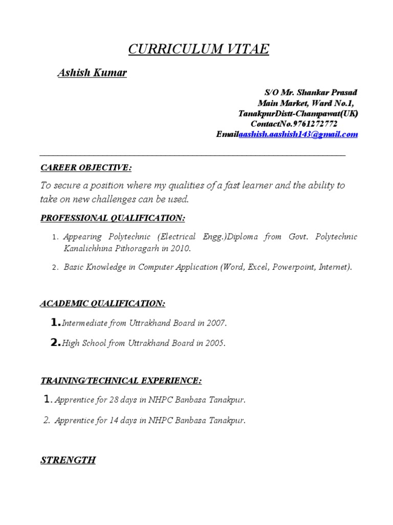 Ashish CV | PDF | Career & Growth | Computers