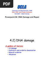 Lesson Plan Grade 10 Mutation | PDF | Genetic Code | Gene