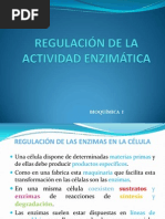 Zimogenos o Proenzimas | PDF