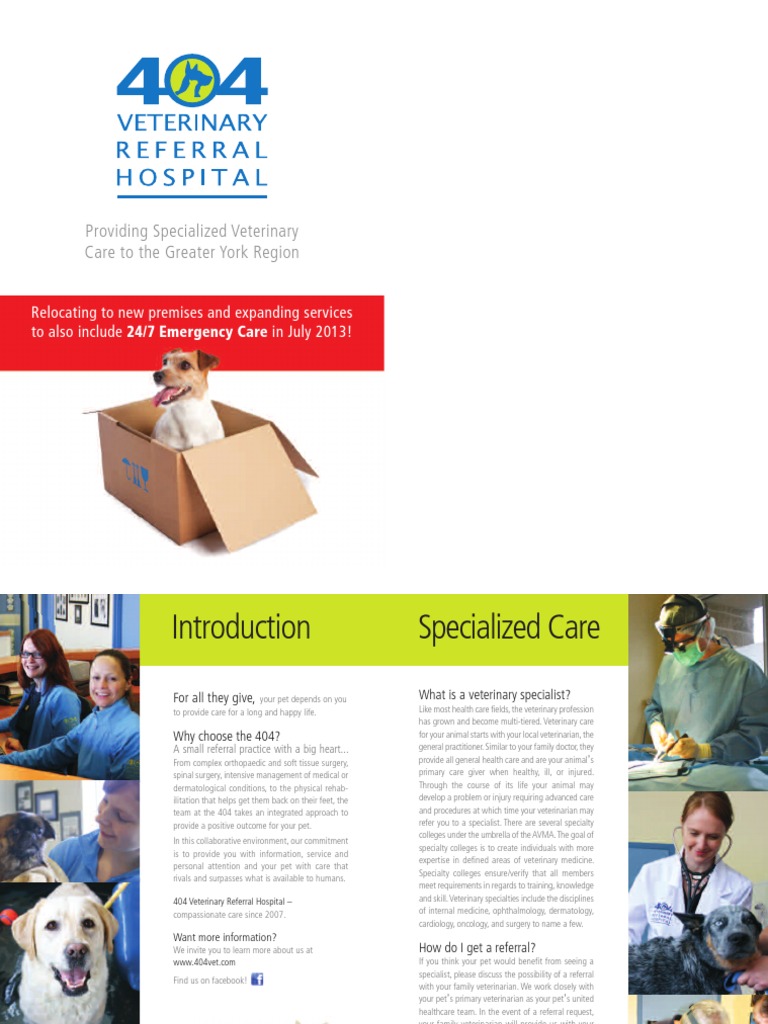 404 Veterinary Referral Hospital - Brochure | PDF | Veterinary ...