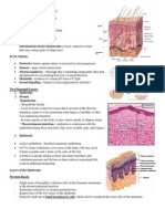 A Lesson Plan in Burns | Burn | Integumentary System
