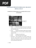 Interpretasi Hasil Foto Rontgen Anatomi Normal | PDF