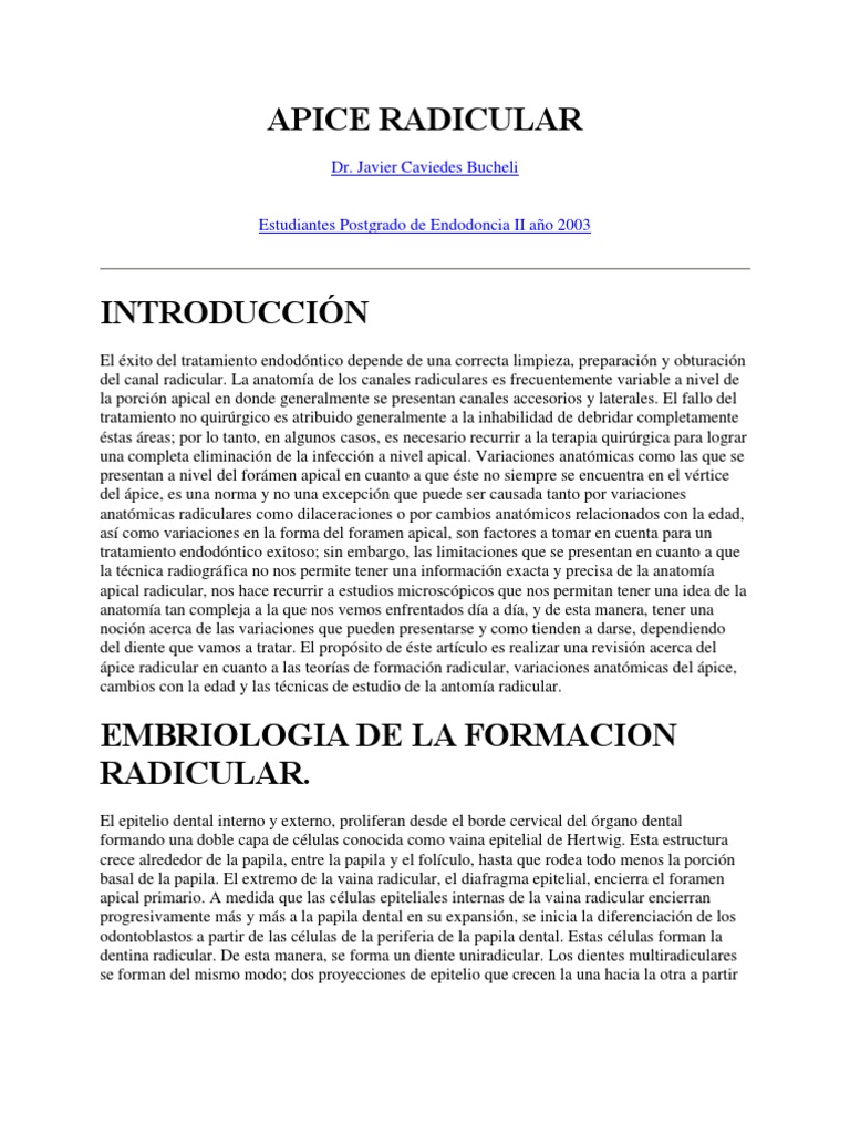 Endodoncia - Apice Radicular | PDF | Diente humano | Raíz