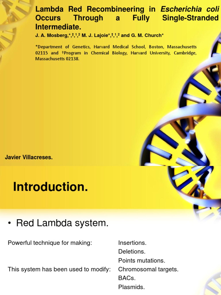 Lambda Red Recombineering in Escherichia Coli Occurs Through A Fully ...