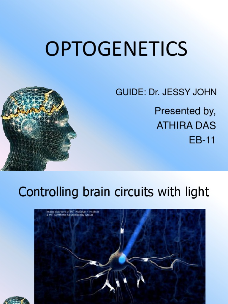 An Introduction to Optogenetics: Controlling Brain Circuits with Light | PDF | Neuroscience ...