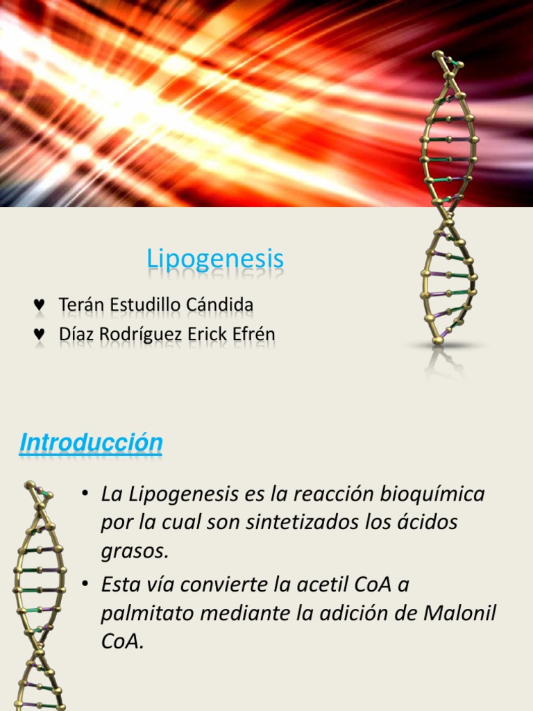 Lipogenesis.pptx | Ácido graso | Biosíntesis