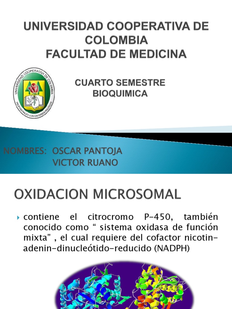 Metabolismo de Fármacos por Citocromo P450 | PDF | Citocromo P450 | Redox