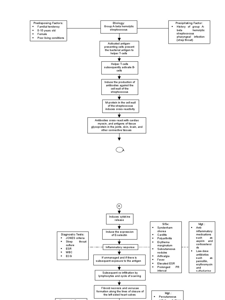 Rheumatic Heart Disease - Patho - Diagram | PDF | Medicine ...