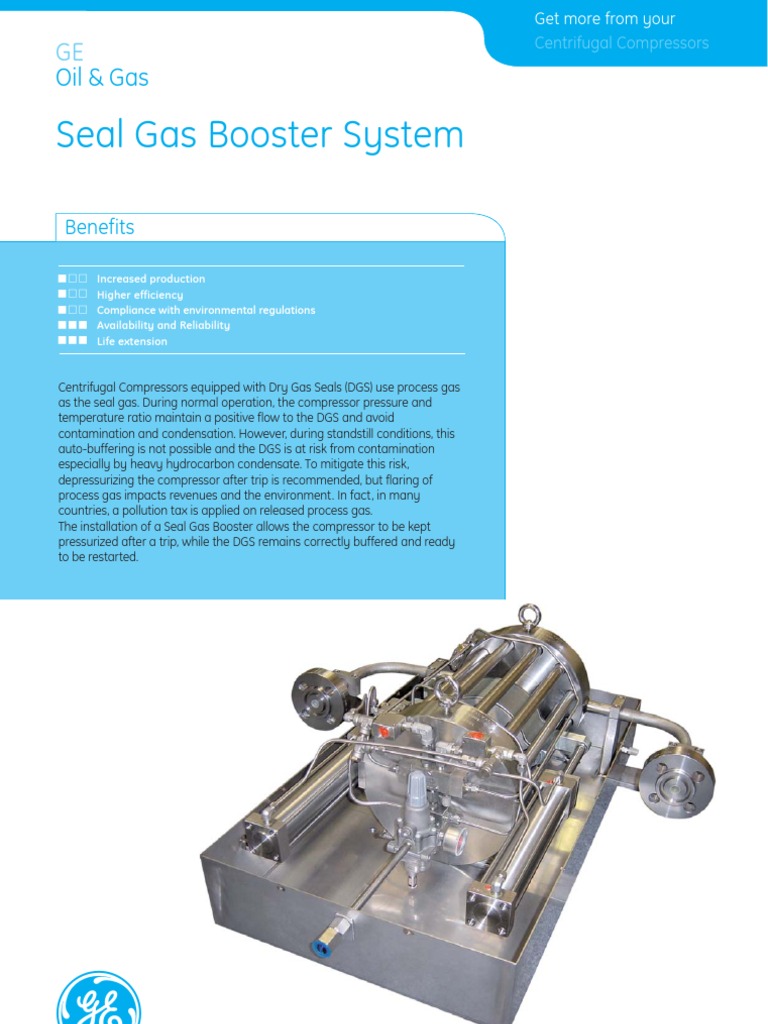Seal Gas Booster | Piston | Pollution