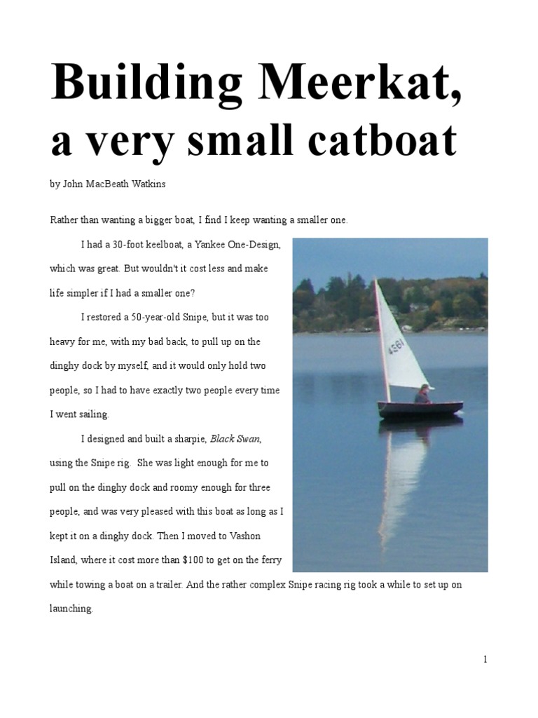 Building the Meerkat Catboat | PDF | Hull (Watercraft) | Plywood