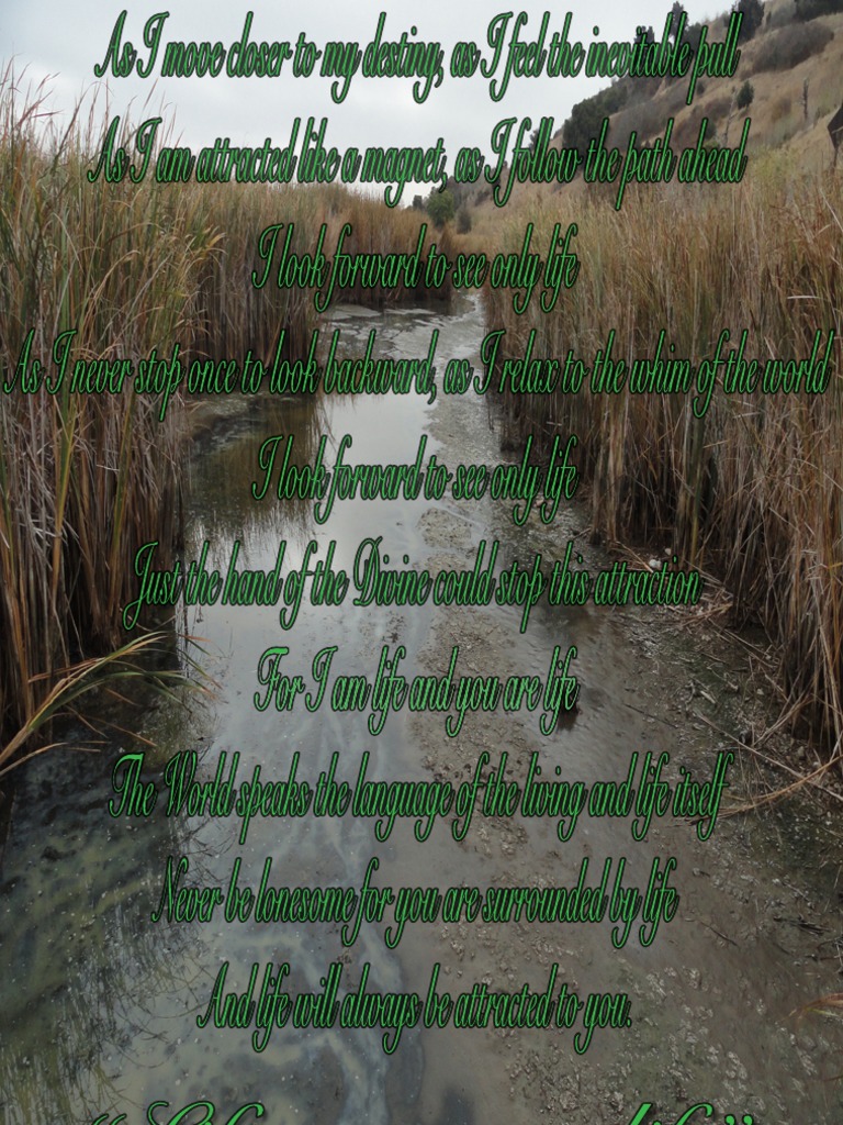 Life's Magnetic Attraction Poem | PDF