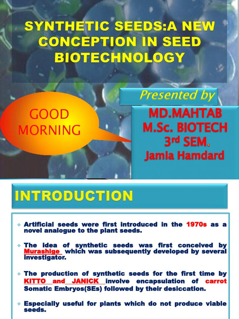 Synthetic Seeds | PDF | Seed | Germination