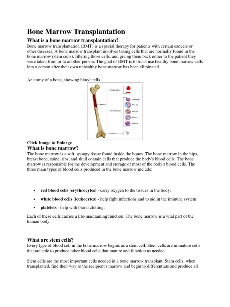 Bone Marrow Transplantation | Hematopoietic Stem Cell Transplantation ...