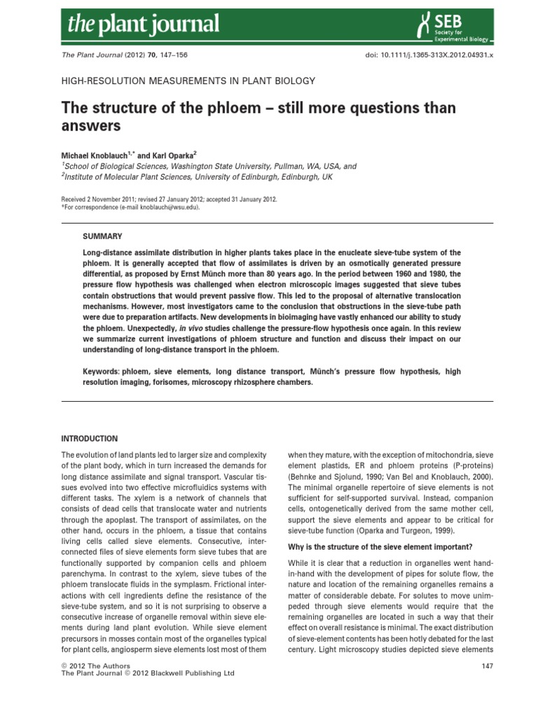 The Structure of The Phloem - Still More Questions Than Answers 2012 ...