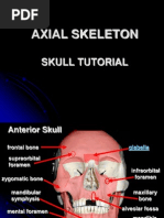 Facial and Skull Bone Positioning | PDF