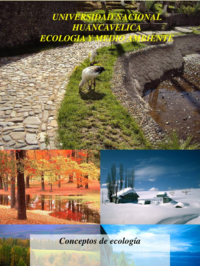 Ecologia Clase 1 2012 | PDF | Ecología | Clima