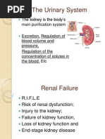 Uf & Sodium Profiling | PDF | Hemodialysis | Clinical Medicine