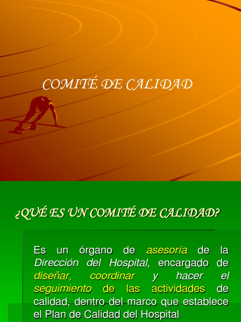 Comite de Calidad | PDF | Hospital | Calidad (comercial)