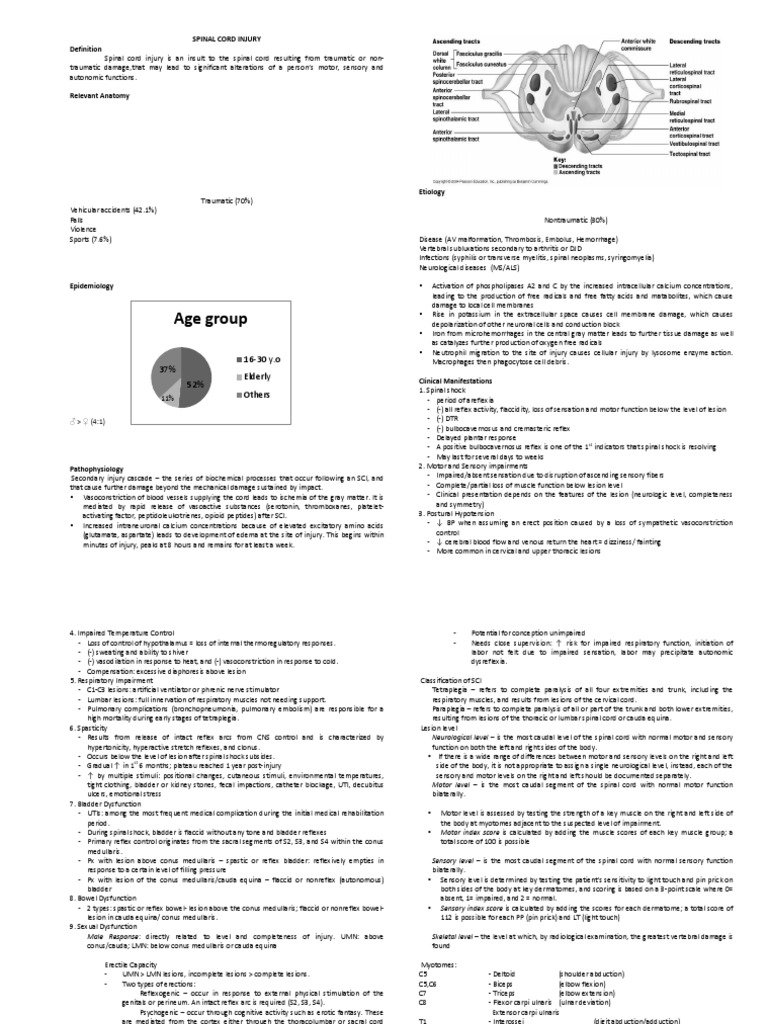 Spinal Cord Injury | PDF | Spinal Cord Injury | Anatomical Terms Of Motion