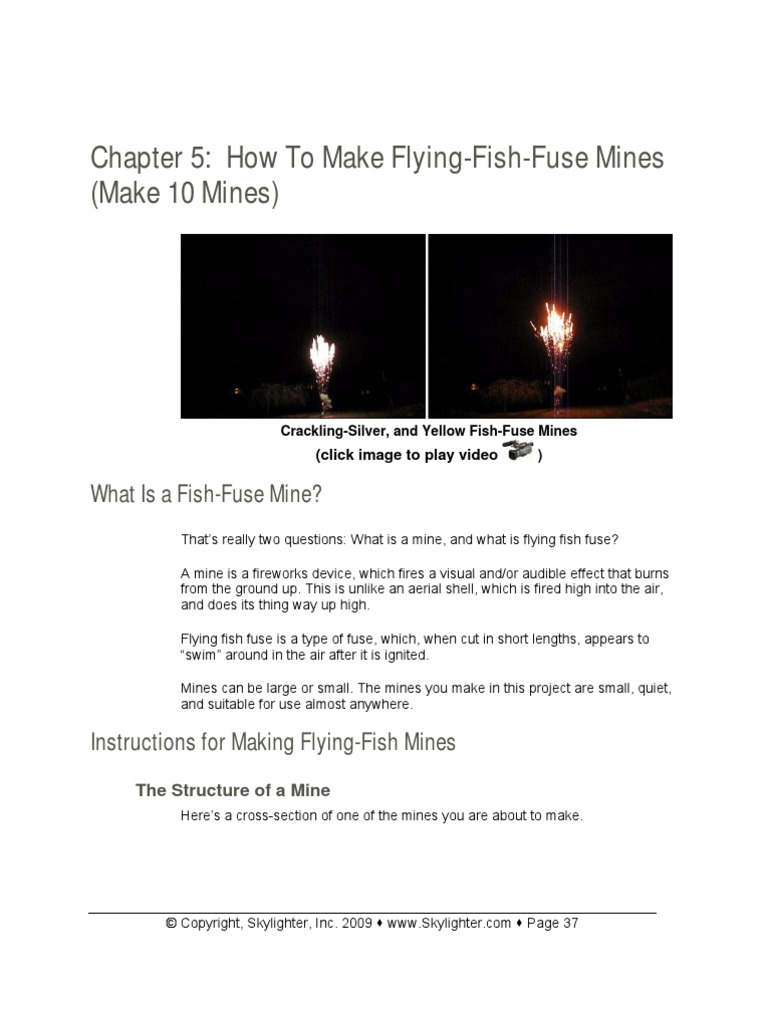 Chapter 5: How To Make Flying-Fish-Fuse Mines (Make 10 Mines) | PDF ...